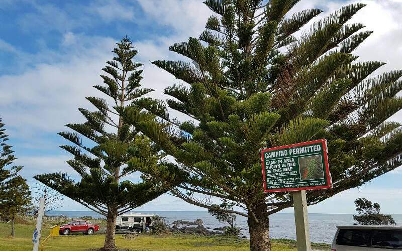 Ngawi Camping Area | Freedom/Basic Camp | New Zealand